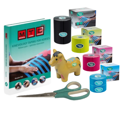 THYSOL USA | Leading Kinesiology Tape Supplier and Wholesaler