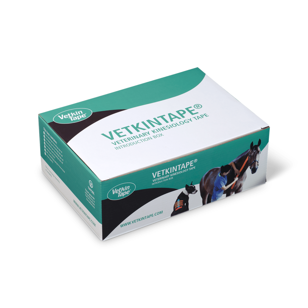 VetkinTape®| Equine Introductory offer